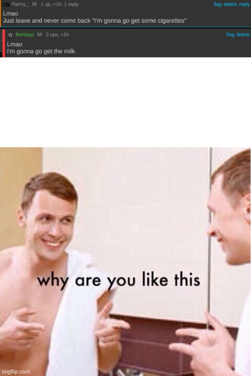 Image tagged in why are you like this - Imgflip