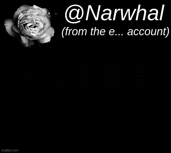 narwhal e temp Blank Template - Imgflip