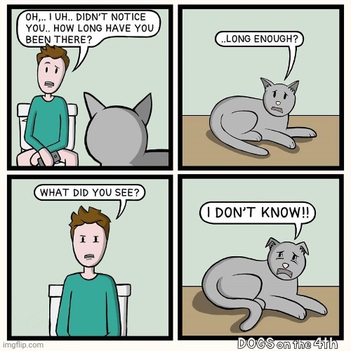Poor cat - Imgflip