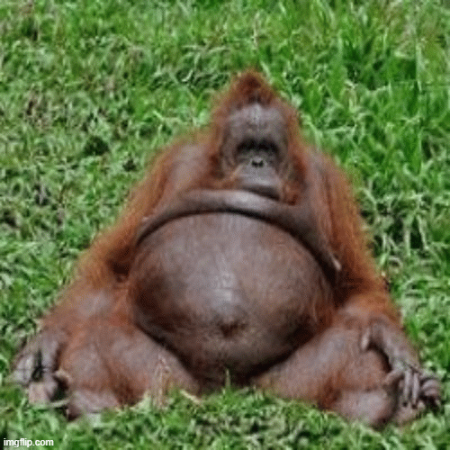 angry monke - Imgflip