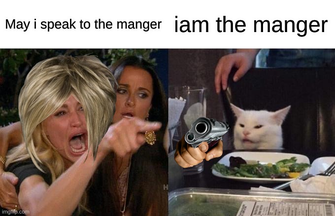 Woman Yelling At Cat Meme - Imgflip