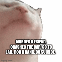 cat gone crazy - Imgflip