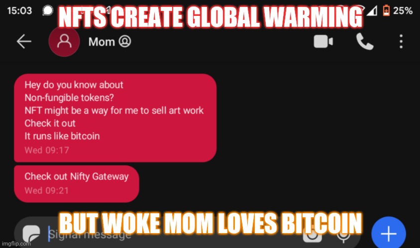 NFT art mom loves bitcoin - Imgflip