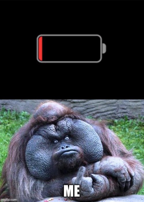 Image tagged in funny - Imgflip