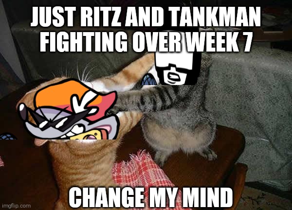 Two cats fighting for real - Imgflip
