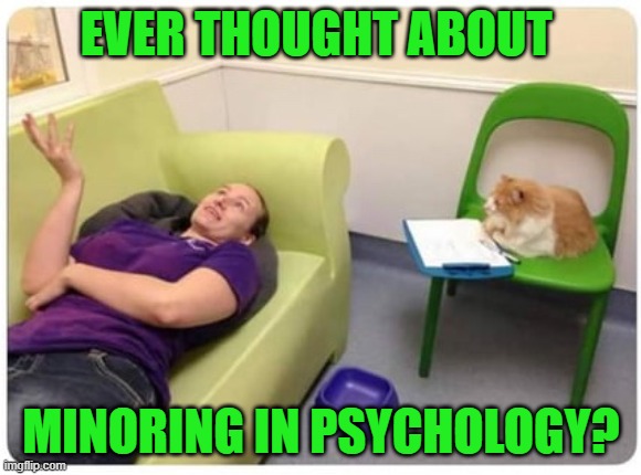 Psychology Cat - Imgflip