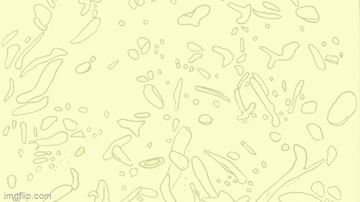 Alex G - Kute - Imgflip