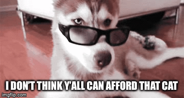 Educated dog - Imgflip