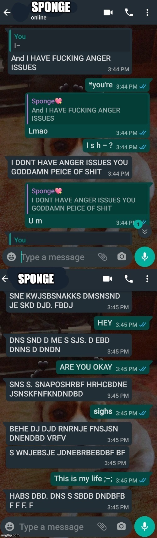 *me trying to kalm sponge down* - Imgflip