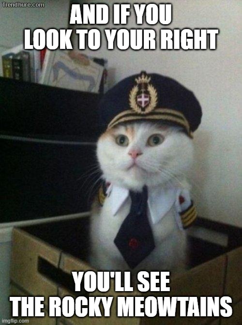 Captain Cat - Imgflip