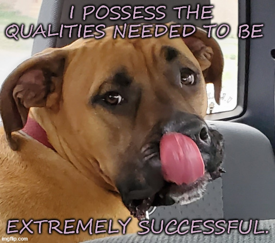 Successful Qualities - Imgflip