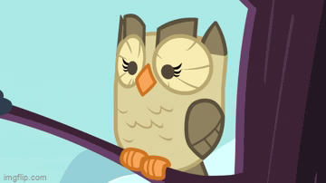 Owlowiscious Wink - Imgflip