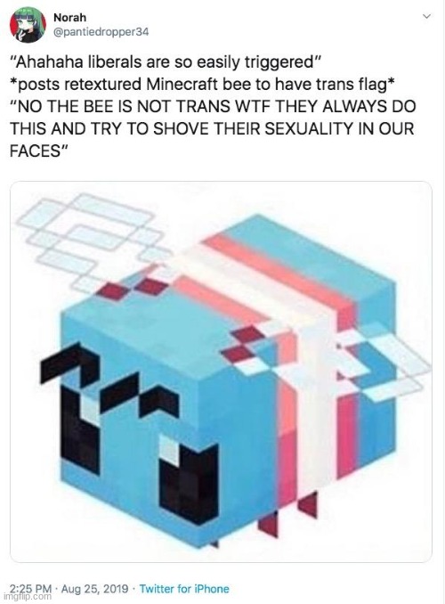 i love the trans bee - Imgflip