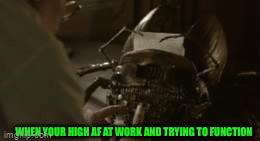 You seeing this s**t, that’s what happens shooting bug poison - Imgflip