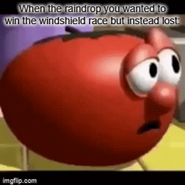 But if it gets absorbed, it's speed! - Imgflip