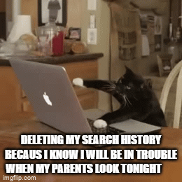 history bad - Imgflip