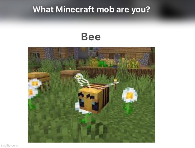 https://www.quotev.com/quiz/13181851/What-Minecraft-mob-are-you - Imgflip