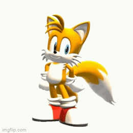 tails gif - Imgflip