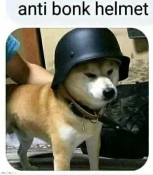 im never honky, so i dont think i will need it...everyone at msmg does ...