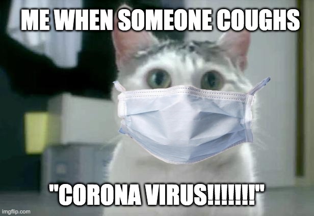 OMG Cat Meme - Imgflip