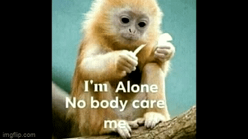 evil monkey - Imgflip