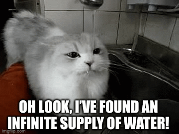 Satisfied cat - Imgflip