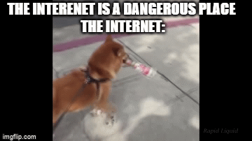 This is a very dangerous place indeed - Imgflip
