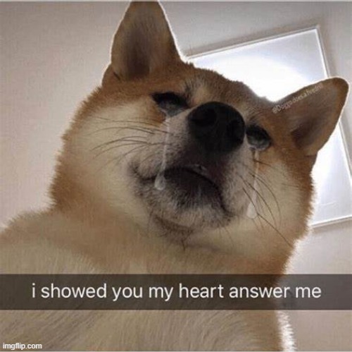 Poor bebe ;-; - Imgflip