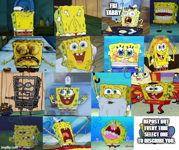 new here. so IDK - Imgflip