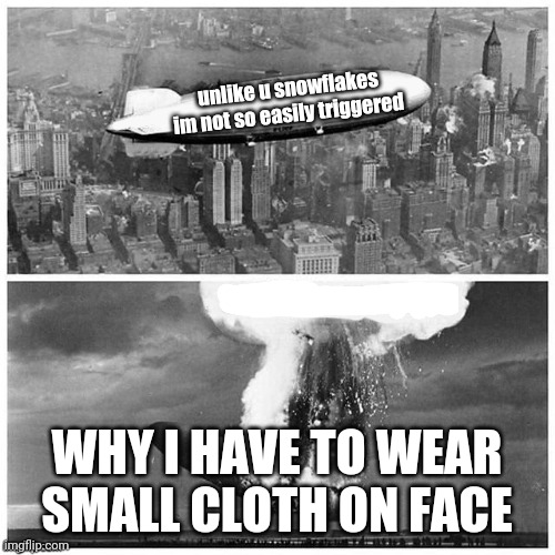 Unlike you snowflakes i'm not so easily triggered - Imgflip