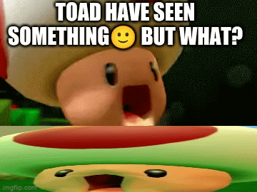 the toads have seen something!!! - Imgflip