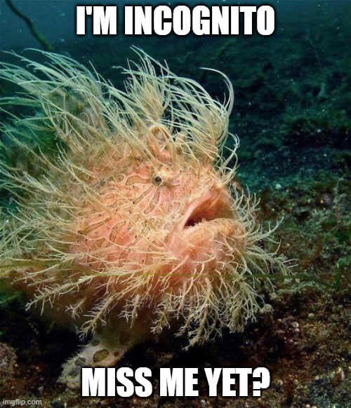 Trumpy fish - Imgflip