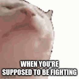 Cat nodding - Imgflip