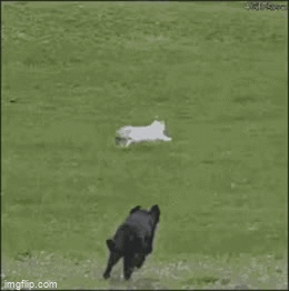 wait for it... - Imgflip