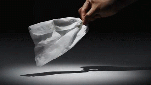 Tissue Paper Bird - Imgflip