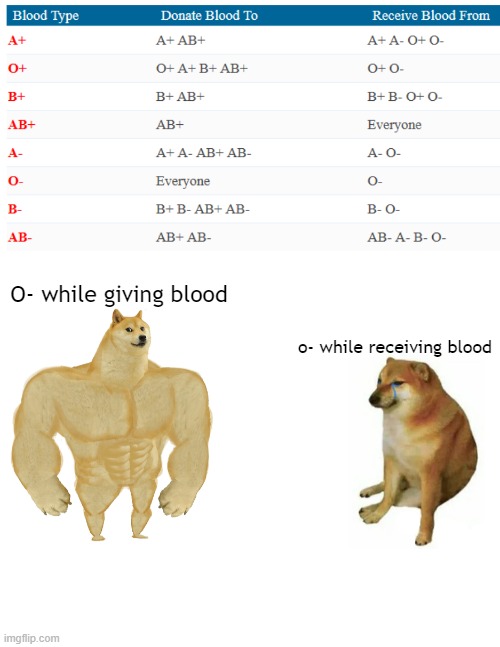Image tagged in memes,buff doge vs cheems - Imgflip