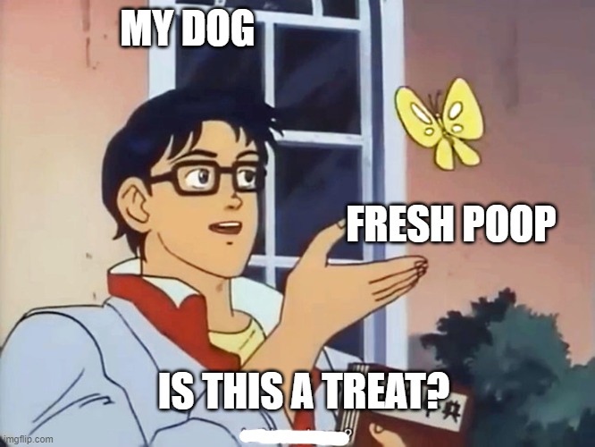 ANIME BUTTERFLY MEME - Imgflip