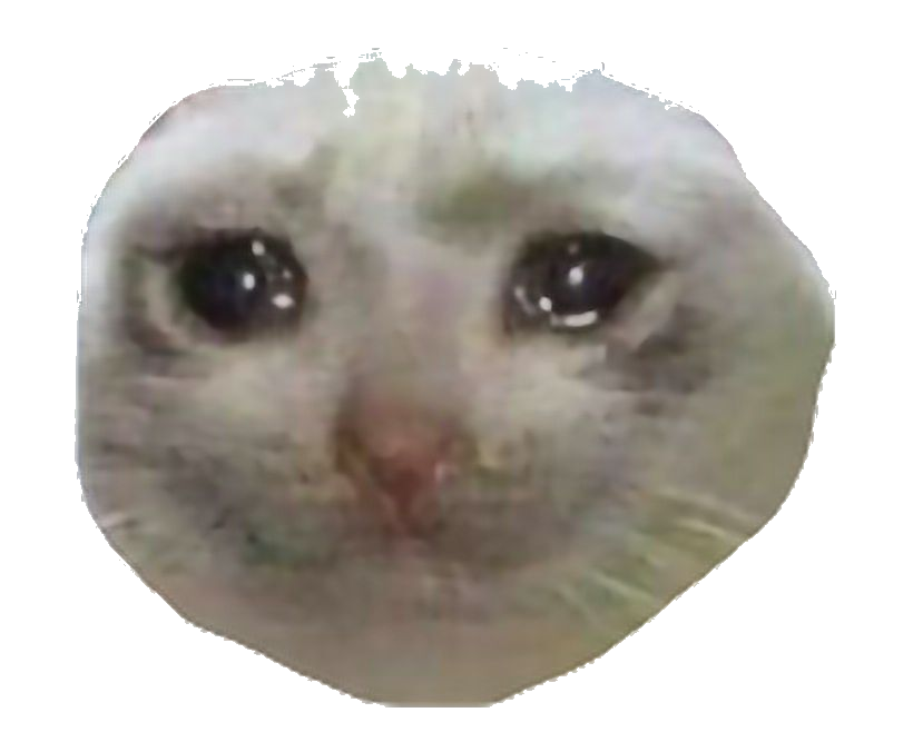 Sad Cat Thumbs Up Meme Png Andrewstevenwatson