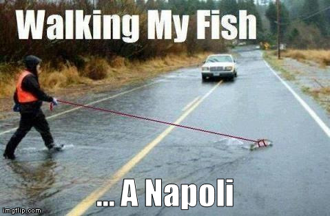 Naples rain - Imgflip