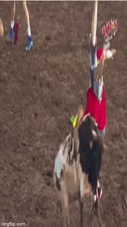 Animated GIF - Imgflip