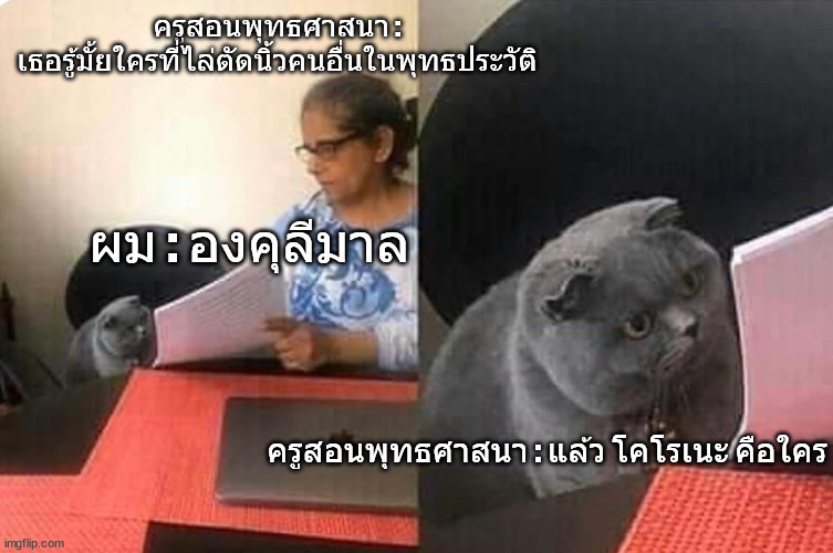 Cat teacher - Imgflip