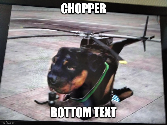 Please help I'm forced to make this meme - Imgflip