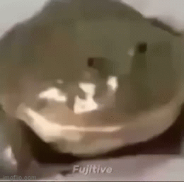 Toad walk sus - Imgflip
