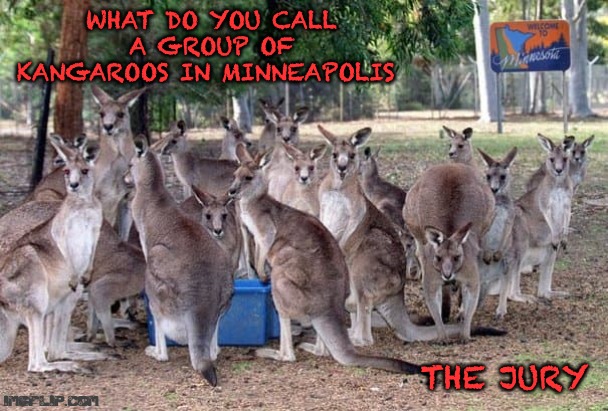 When a Kangaroo Court Destroys a Mans Reputation in an Afternoon. They ...