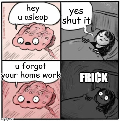 Brain Before Sleep - Imgflip
