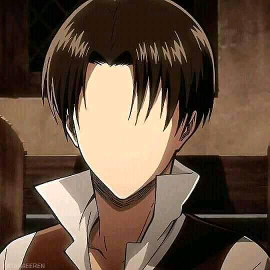 Levi Blank Template - Imgflip