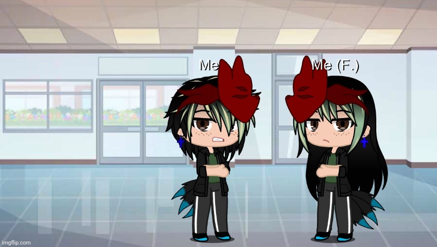 Which looks better, Male or Female? - Imgflip