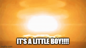 God Awful blast that rocked town was a gender reveal explosive ...