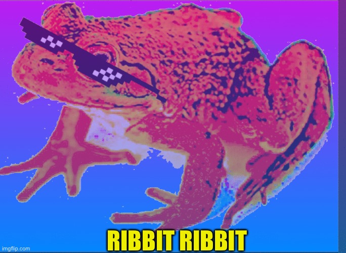 Half of gen z would laugh if i posted a pic of a frog - Imgflip