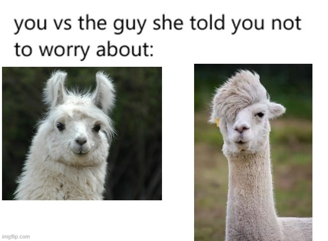 you vs the guy she told you not to worry about: - Imgflip